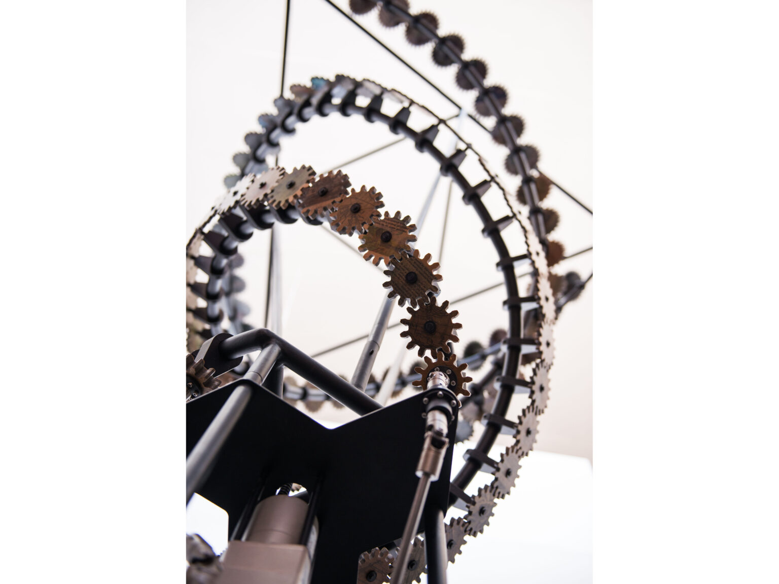 Vórtice [Vortex] | Marcela Armas — Museo de Arte de Zapopan